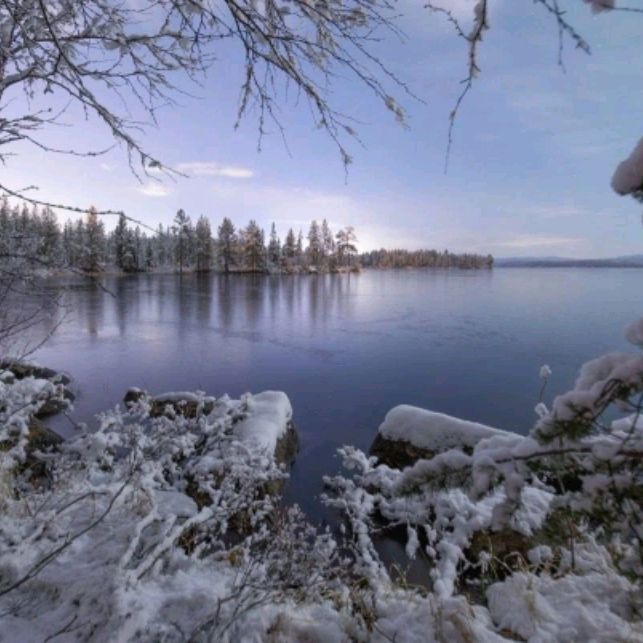 Иконка канала 🐬Отдых на Кольском полуострове🌲