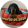 Иконка канала iosif20.05.2020