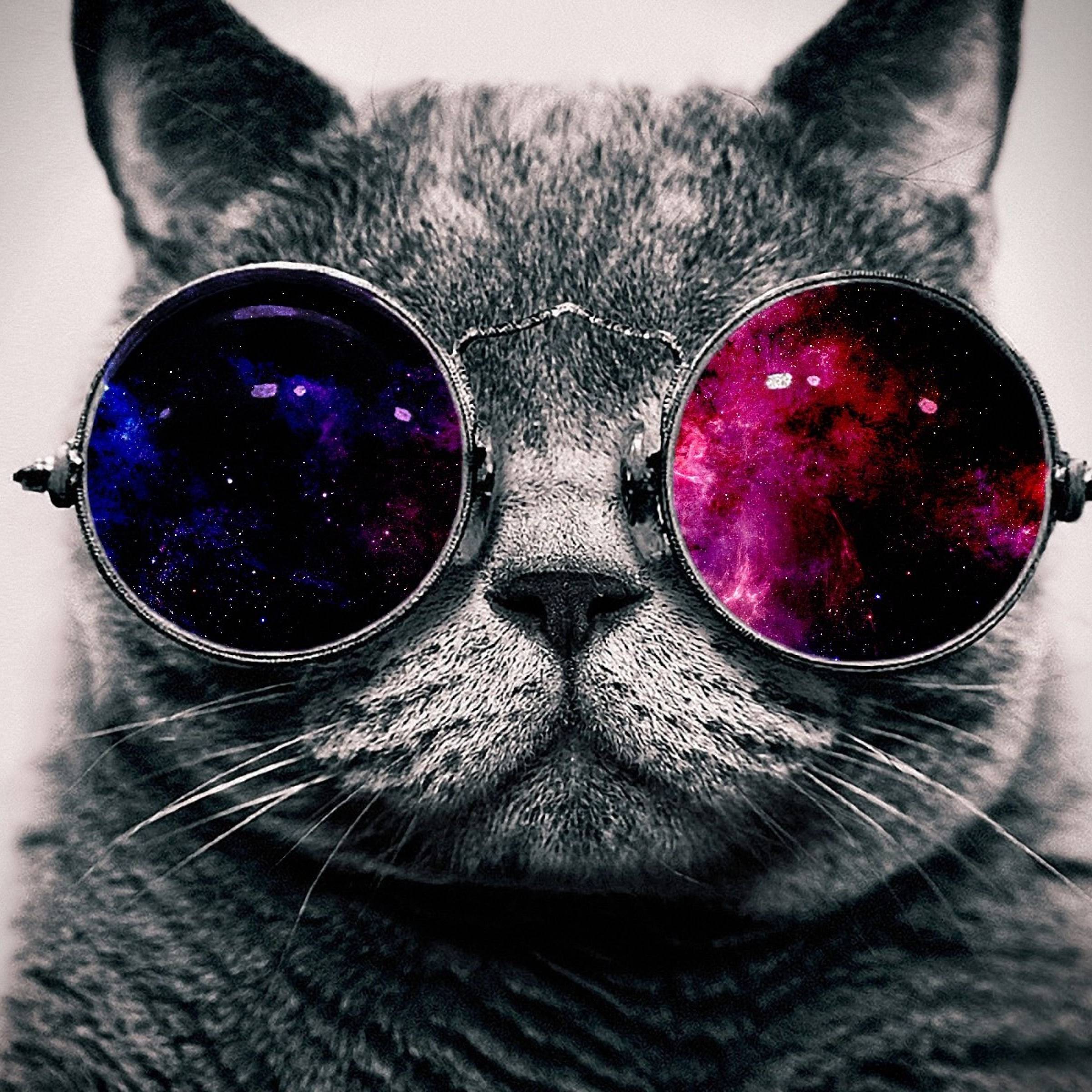 Иконка канала Андрей Кузьмин