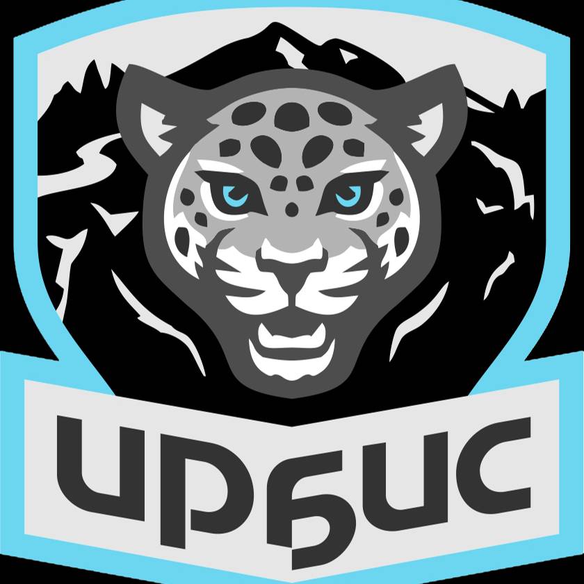 Иконка канала FC Irbis