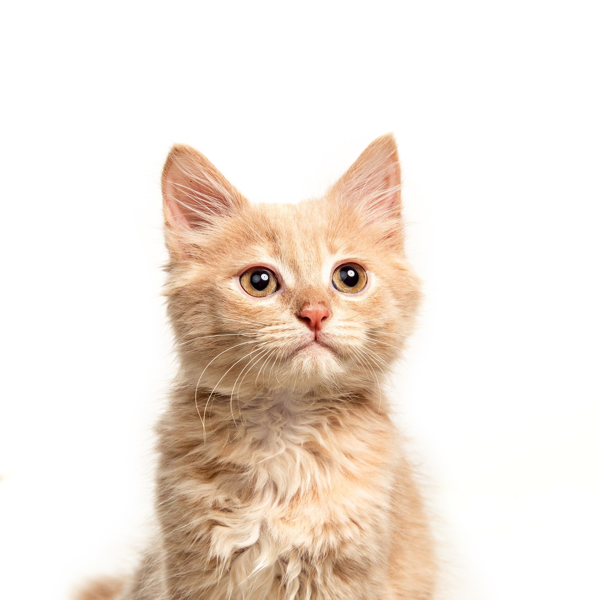 Иконка канала Канал Пушули 222