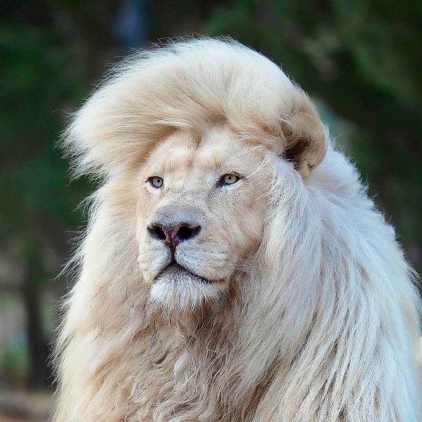 Иконка канала ComeIN