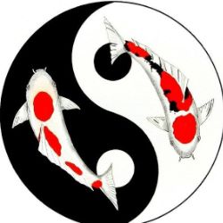 Иконка канала РАЙ-ШАНХАЙ