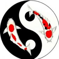 Иконка канала РАЙ-ШАНХАЙ