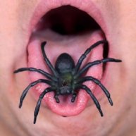 Иконка канала Страшно.вкуснО