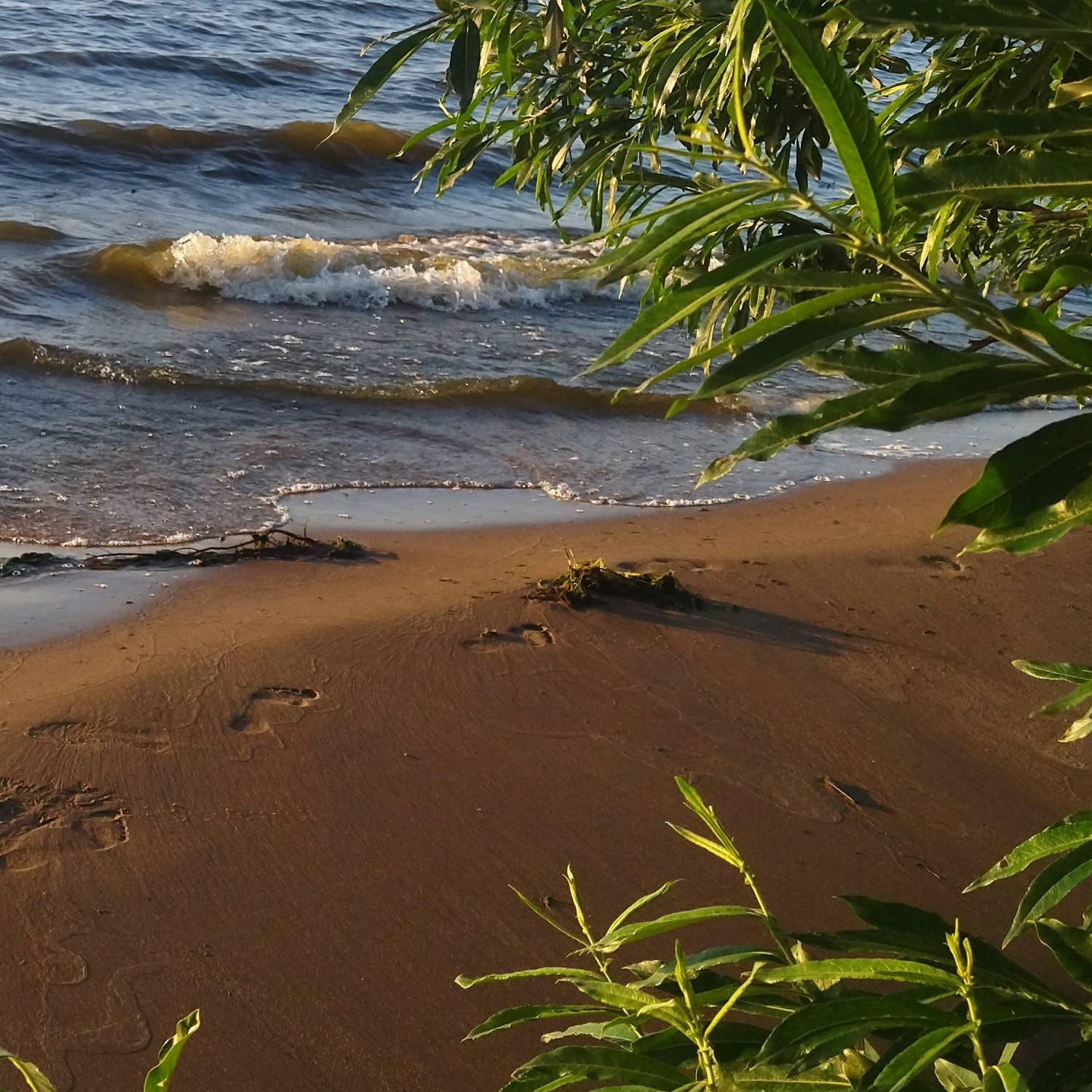 Иконка канала Географик 303