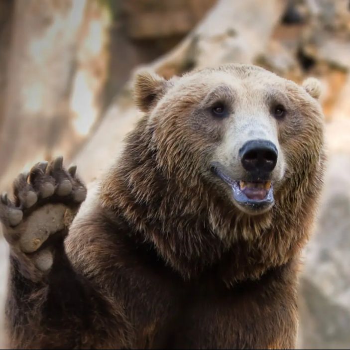 Иконка канала Выживший