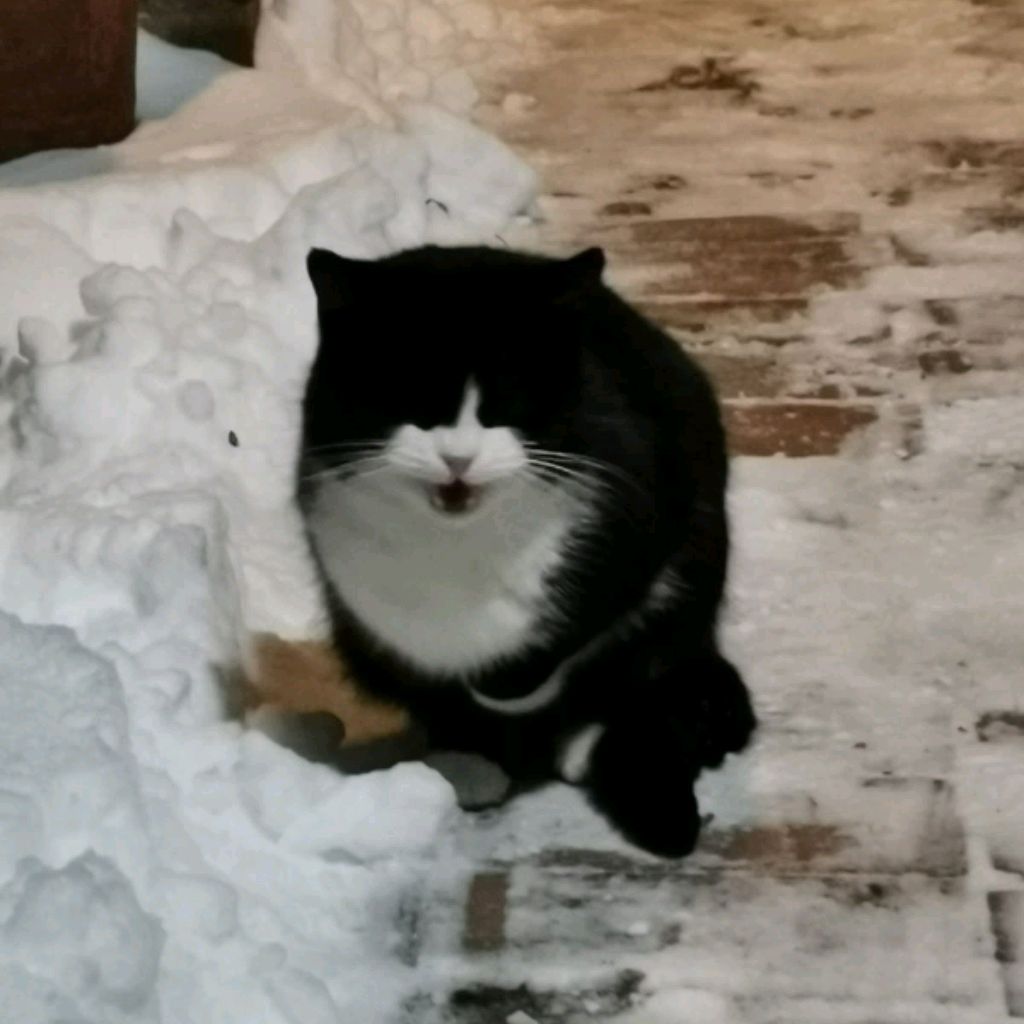 Иконка канала Вася семечкин и друзья!