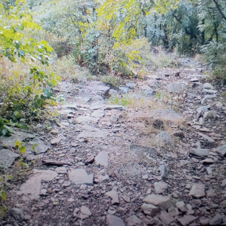 Иконка канала Бегемот VLOG