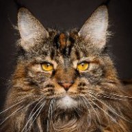 Иконка канала rutube_account_1827822