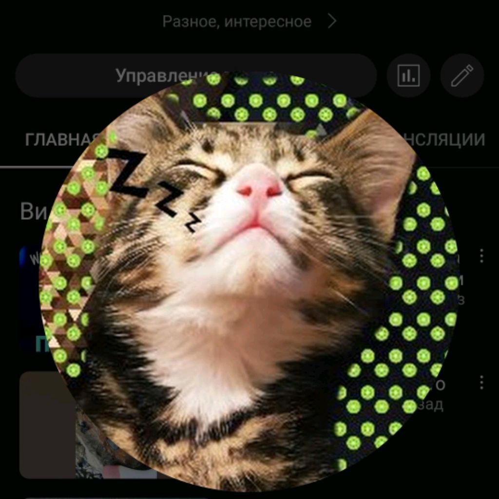 Иконка канала Kot_leniviy