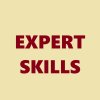 Иконка канала expert skills