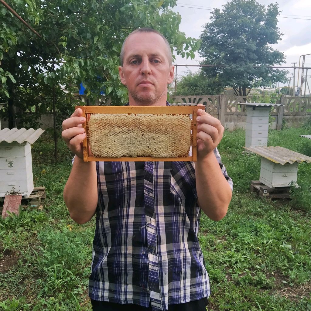 Иконка канала Северо-Крымский улей.Руслан Кобзарь.