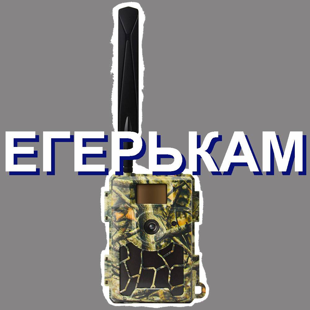 Иконка канала Фотоловушка