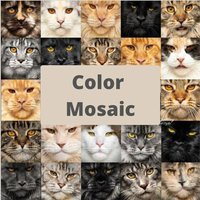 Иконка канала Питомник кошек породы Мейн-кун «Color Mosaic"