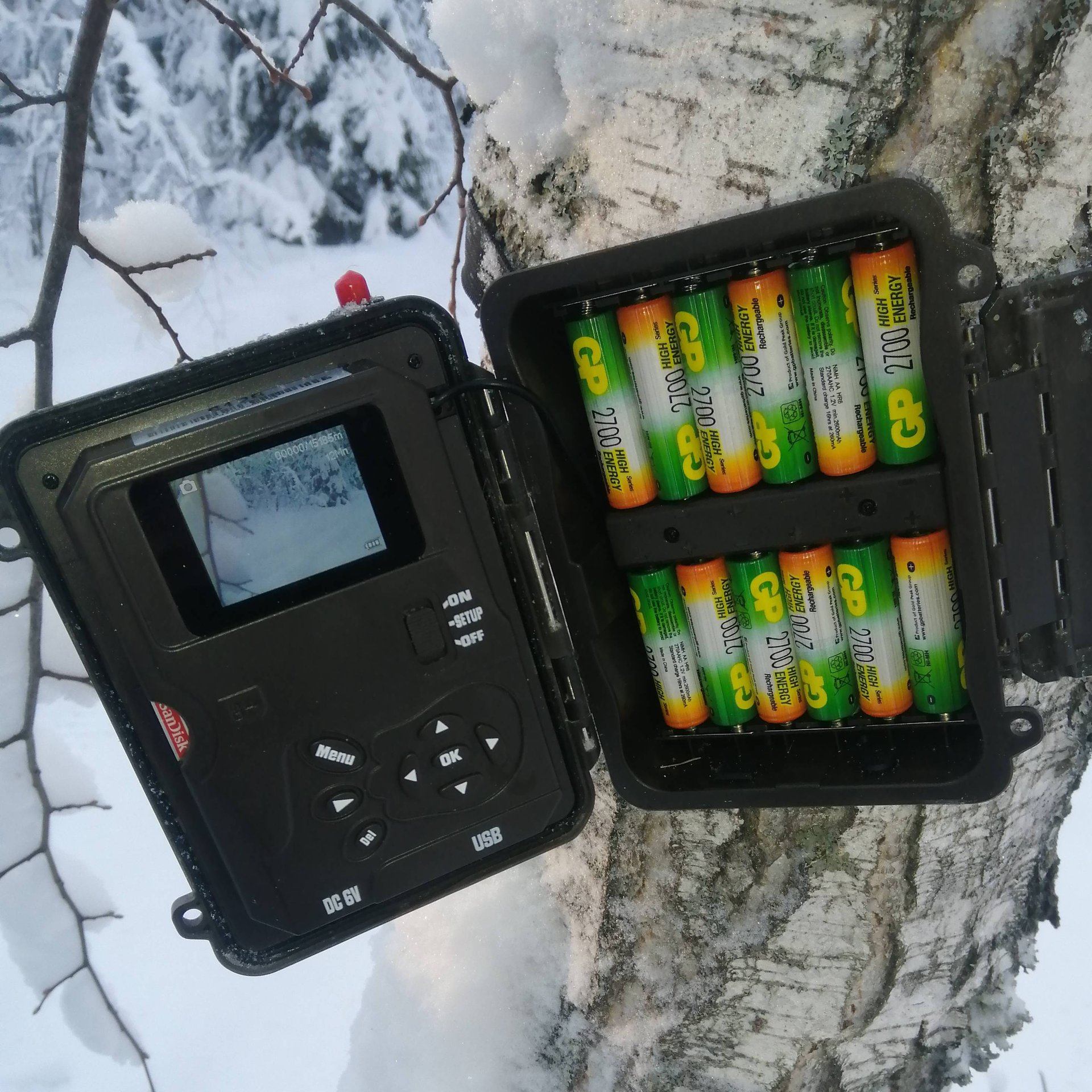 Иконка канала Фотоловушка. Нацпарк "Нижняя Кама"