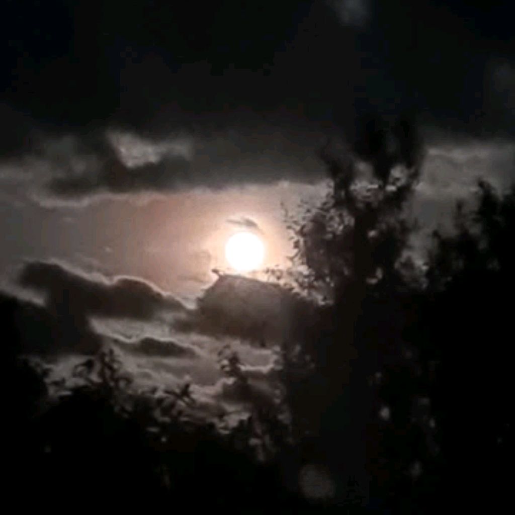 Иконка канала Космос факты и больше...