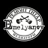 Иконка канала DEmelyanov