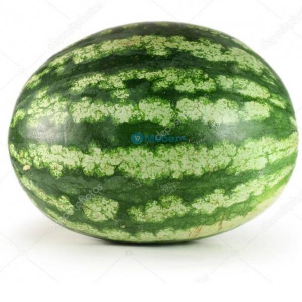 Иконка канала Арбуз