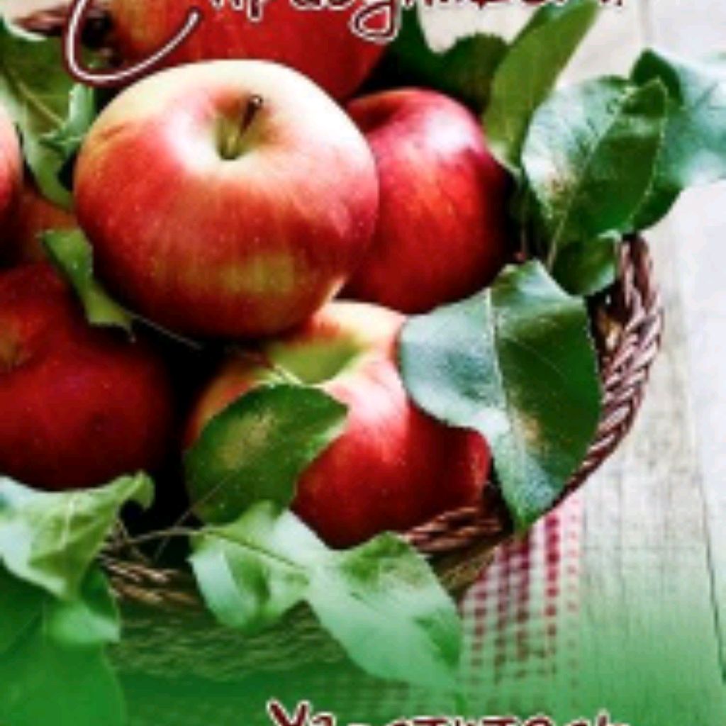 Иконка канала Секонд-хенд семейный