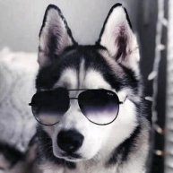 Иконка канала Baron