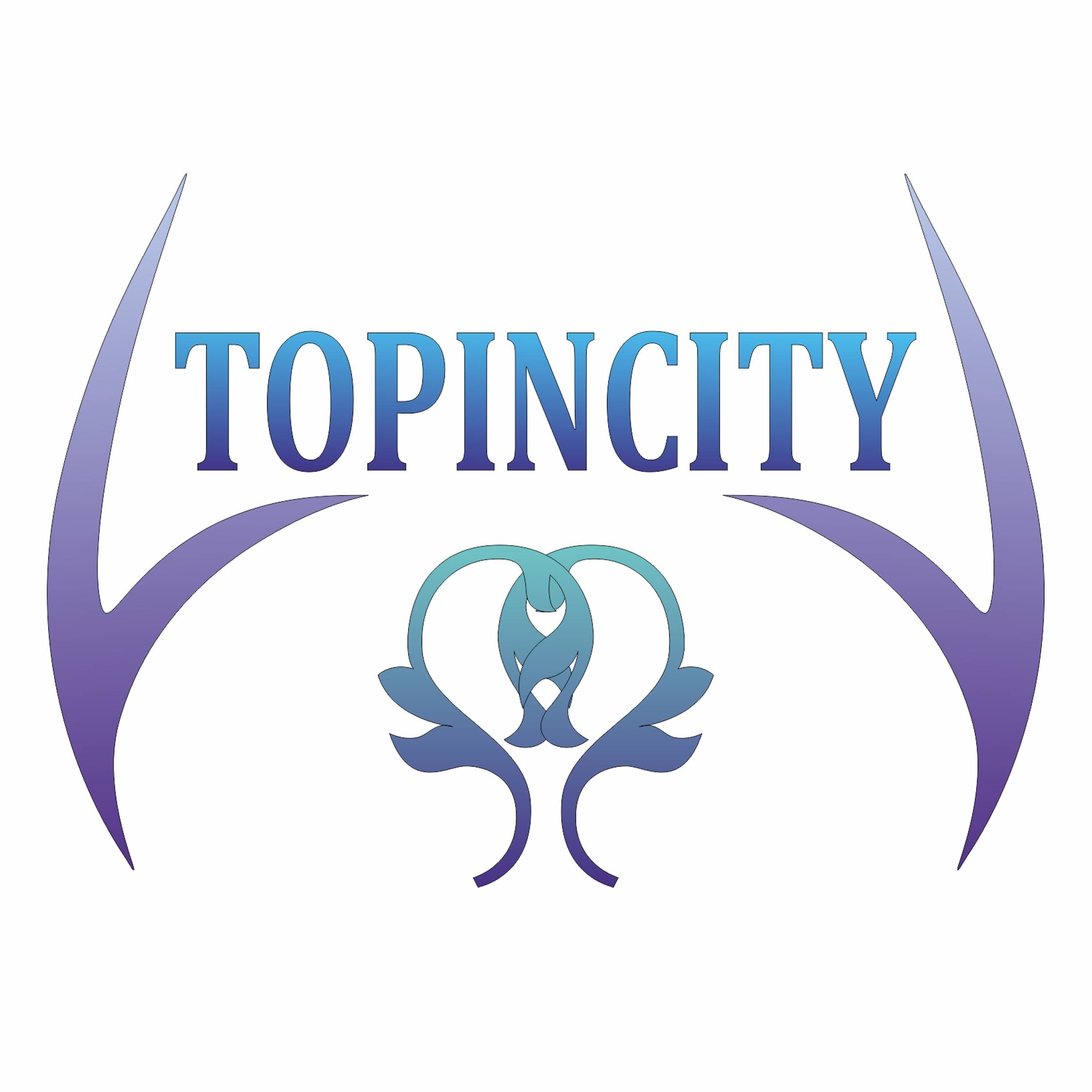Иконка канала TOPINCITY Фрезы для ЧПУ