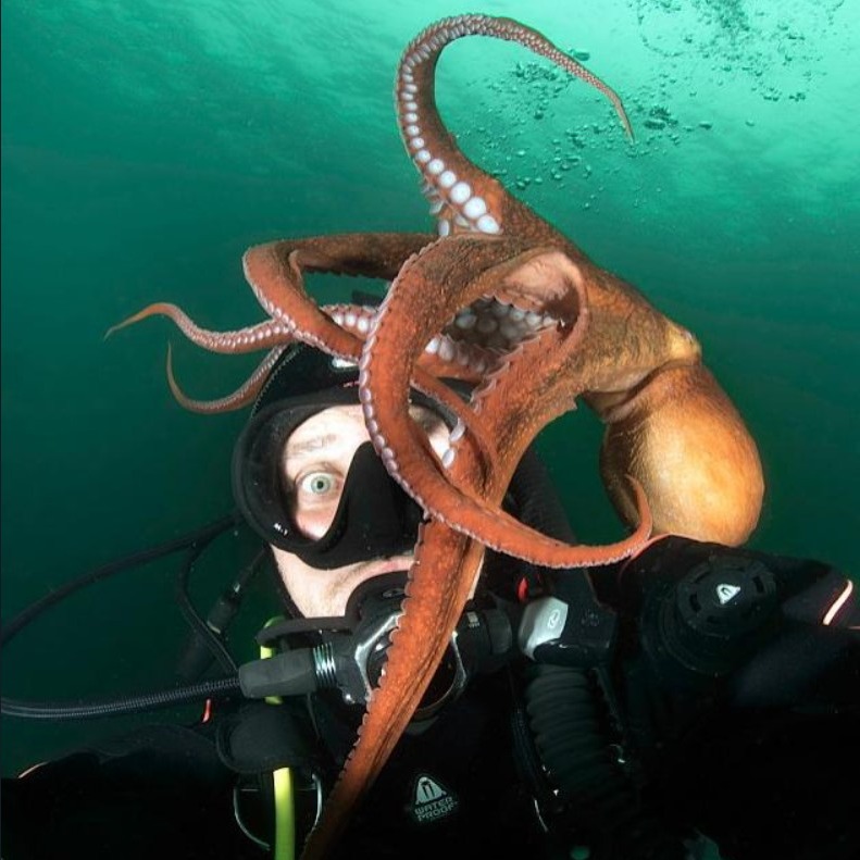 Иконка канала Алексей Кондратюк