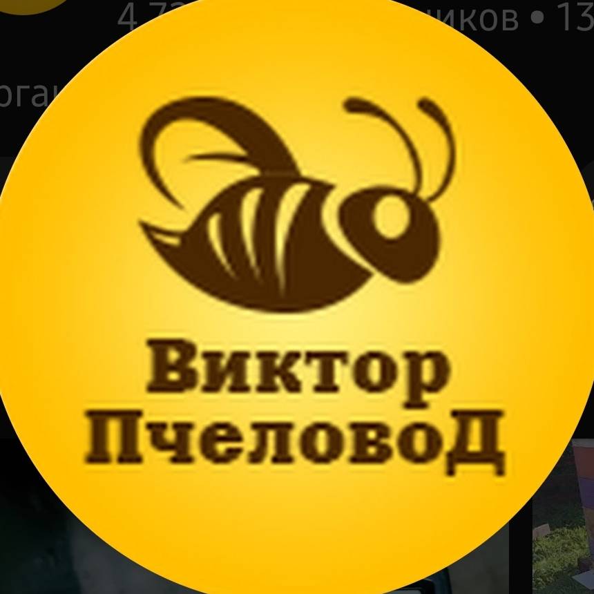 Иконка канала Виктор Пчеловод