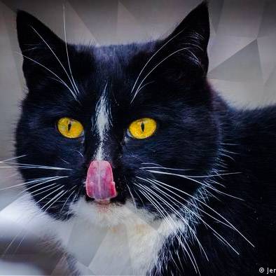 Иконка канала Подборка