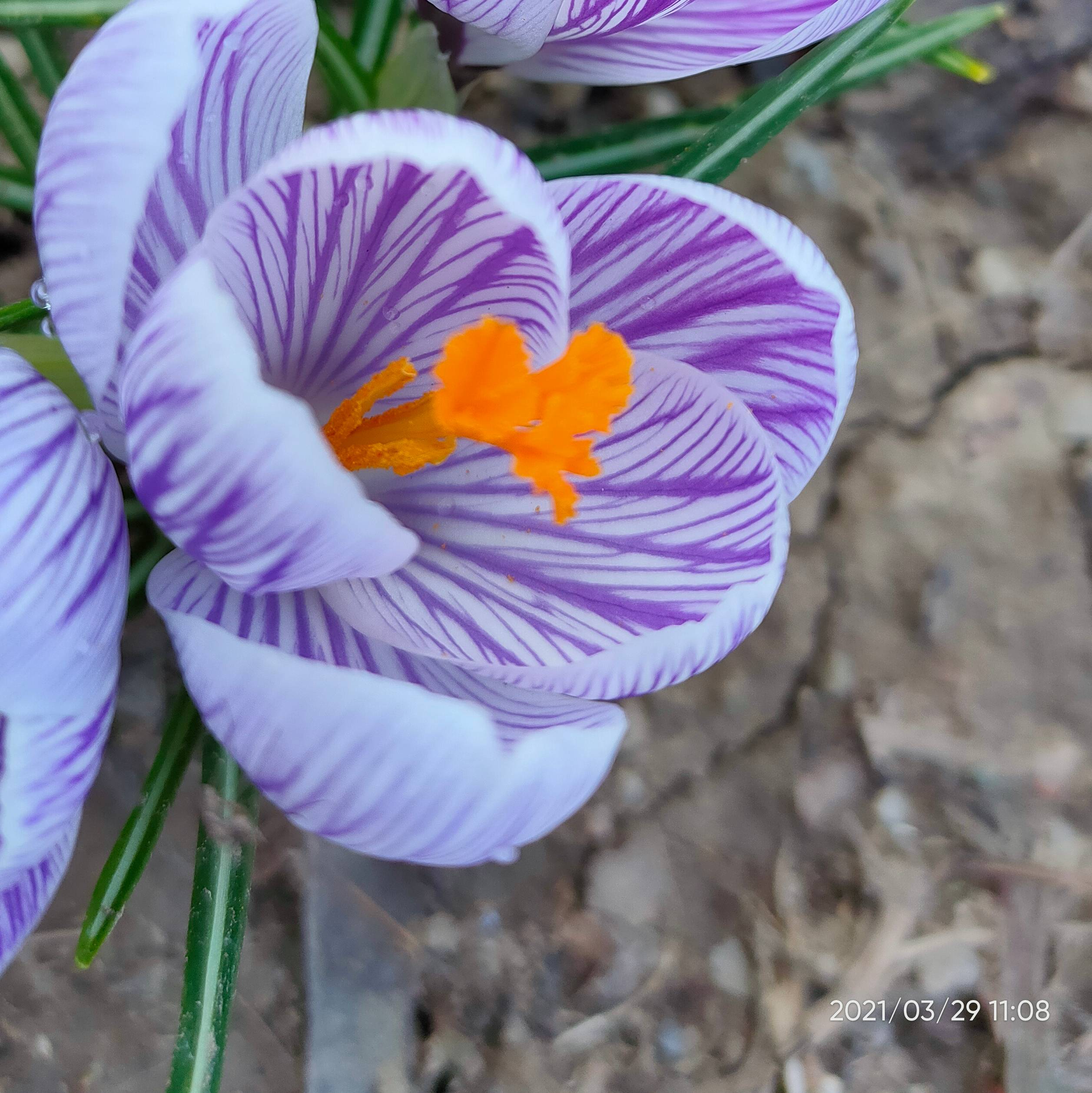 Иконка канала Природа вокруг нас