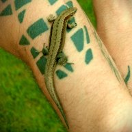 Иконка канала Павел Кондрашов