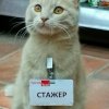 Иконка канала GAVAI