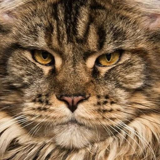 Иконка канала @DayAndNight@