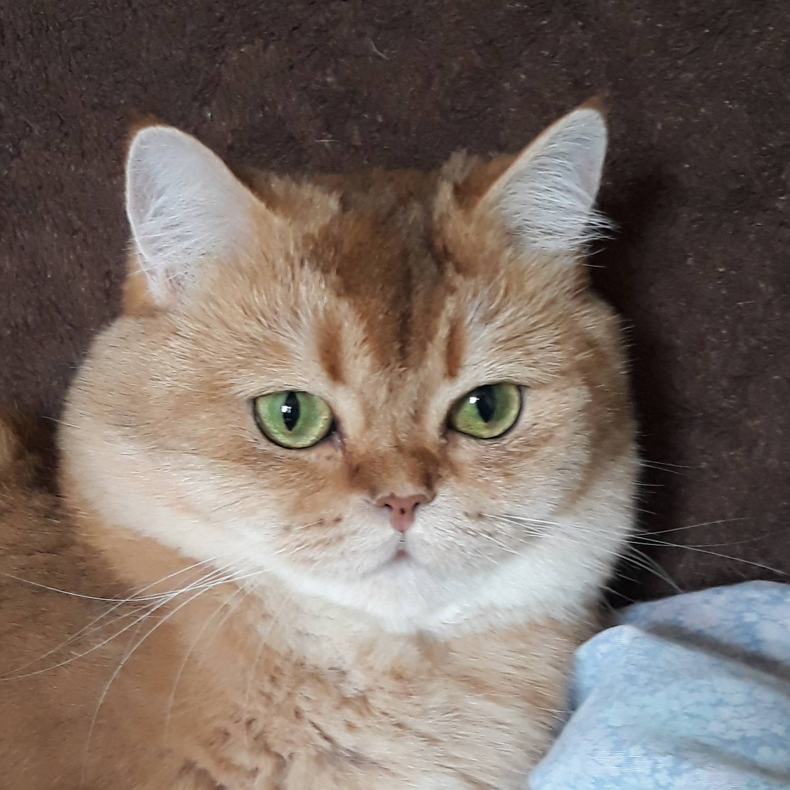 Иконка канала Lisa20011