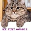 Иконка канала Садовая жизнь