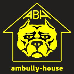 Иконка канала ambully_house