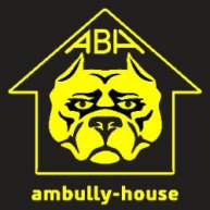 Иконка канала ambully_house