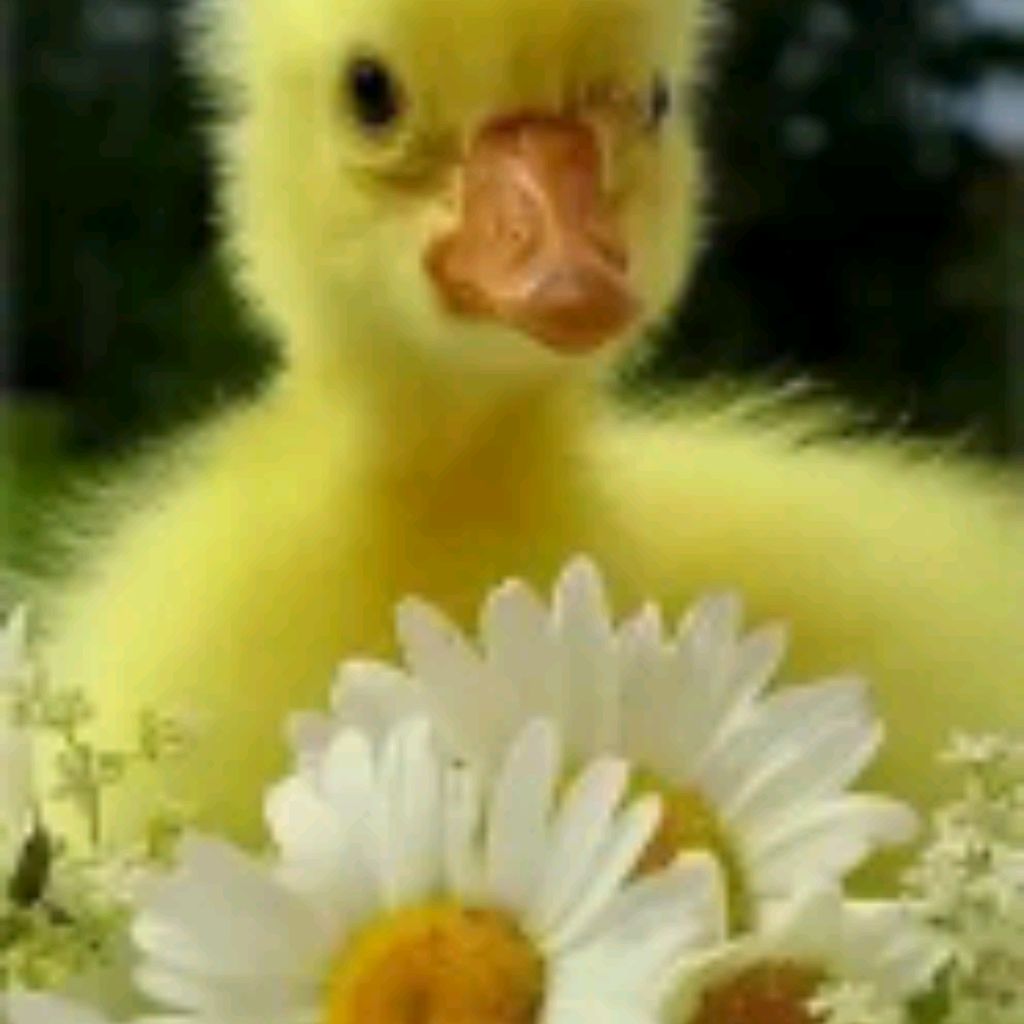 Иконка канала Фермер от Бога