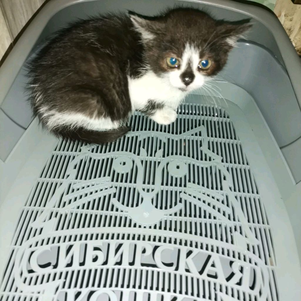 Иконка канала channel30738074