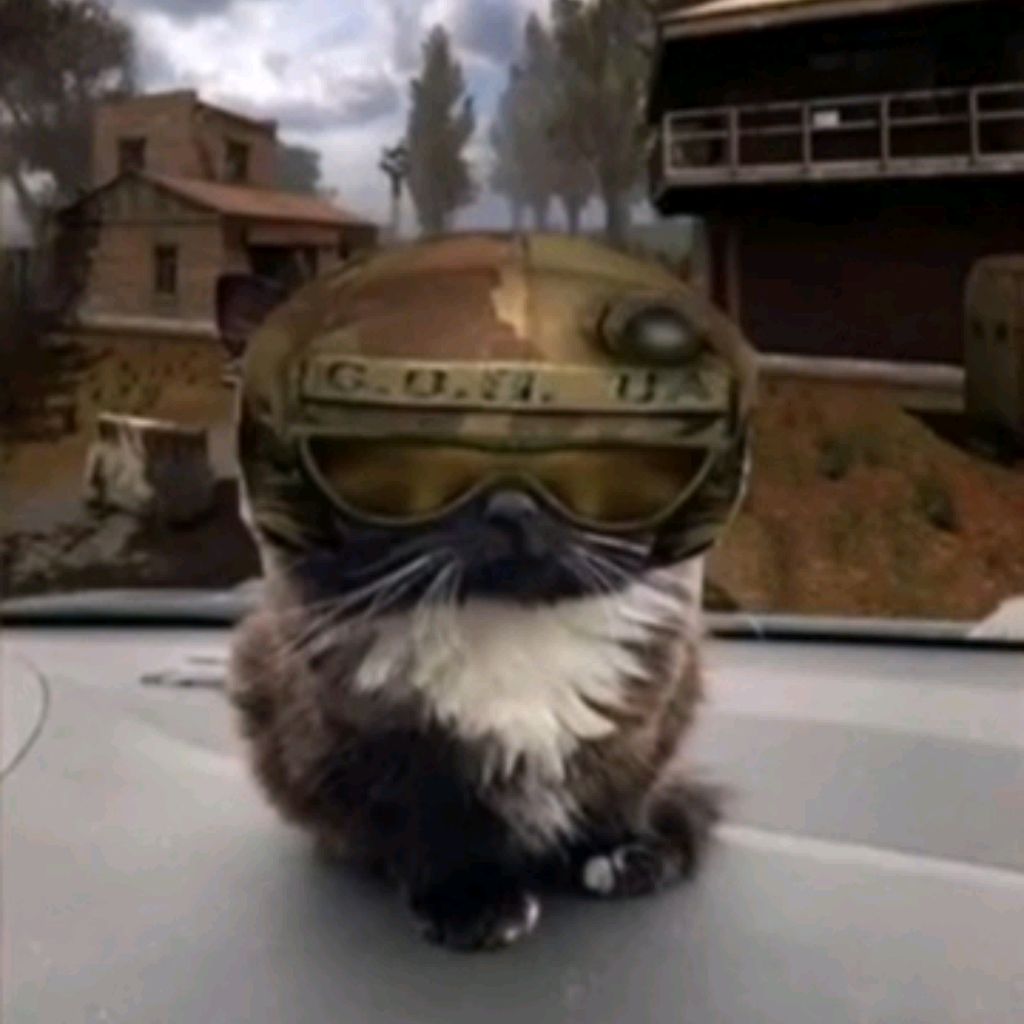 Иконка канала Короткометражки