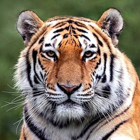 Иконка канала Andrey.msc