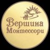 Иконка канала Вершина Монтессори