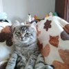 Иконка канала ДЖЕНИКИ ЛАЙФ
