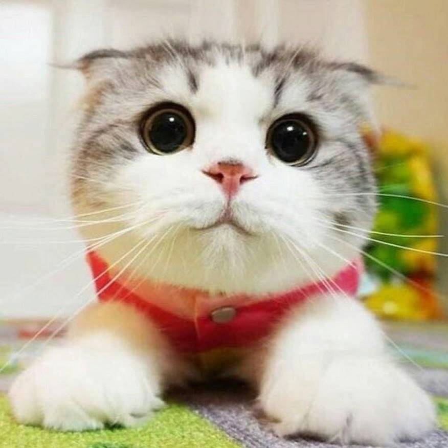 Иконка канала ЭТО ЖИЗНЬ