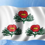 Иконка канала Культура Вейделевского района