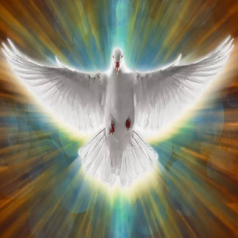 Иконка канала Иисус мой Пастырь