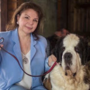 Иконка канала МИР ГЛАЗАМИ СОБАК