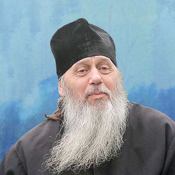 Иконка канала Жизнь со смыслом, о. Владимир Головин