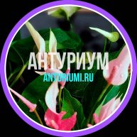 Иконка канала Антуриум