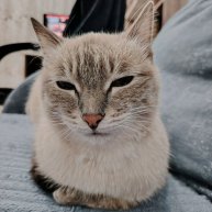 Иконка канала Кирилл